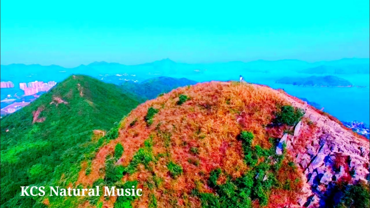 Relaxing Music With Beautiful Nature/Beautiful Relaxing Music/Nature ...