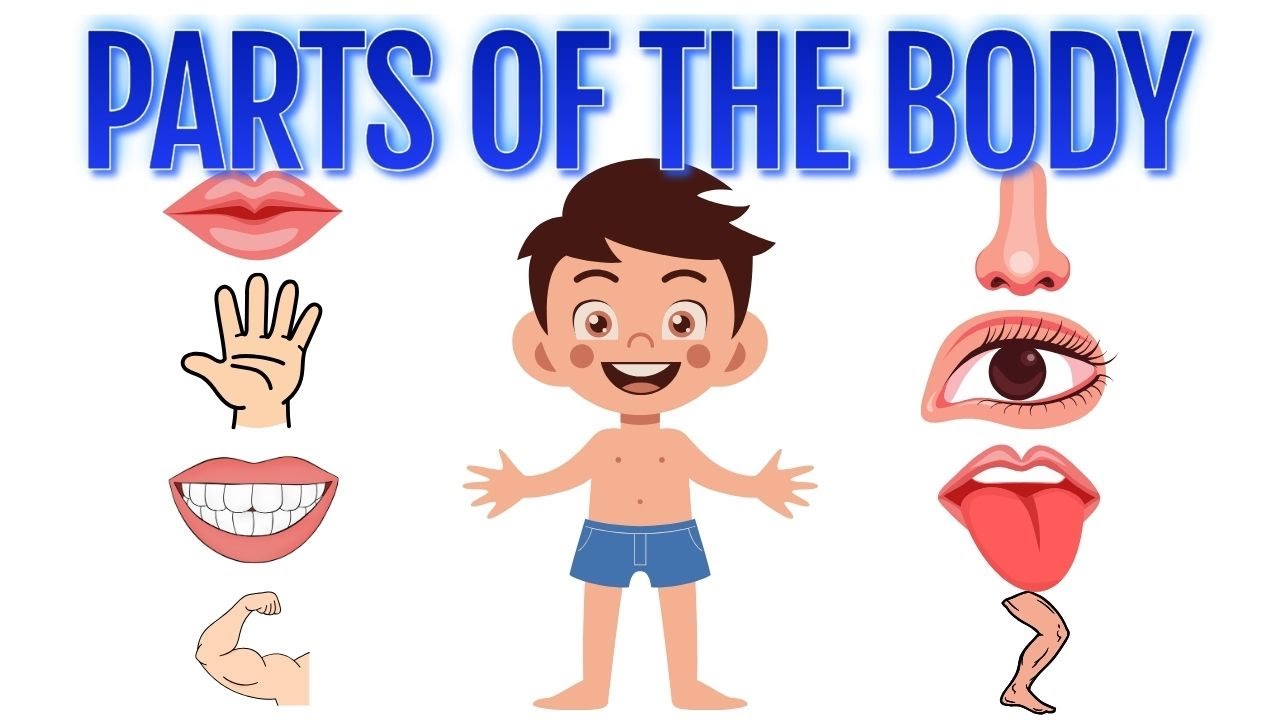 Learn Body Parts for Kids | Fun & Easy Learning Video - YouTube
