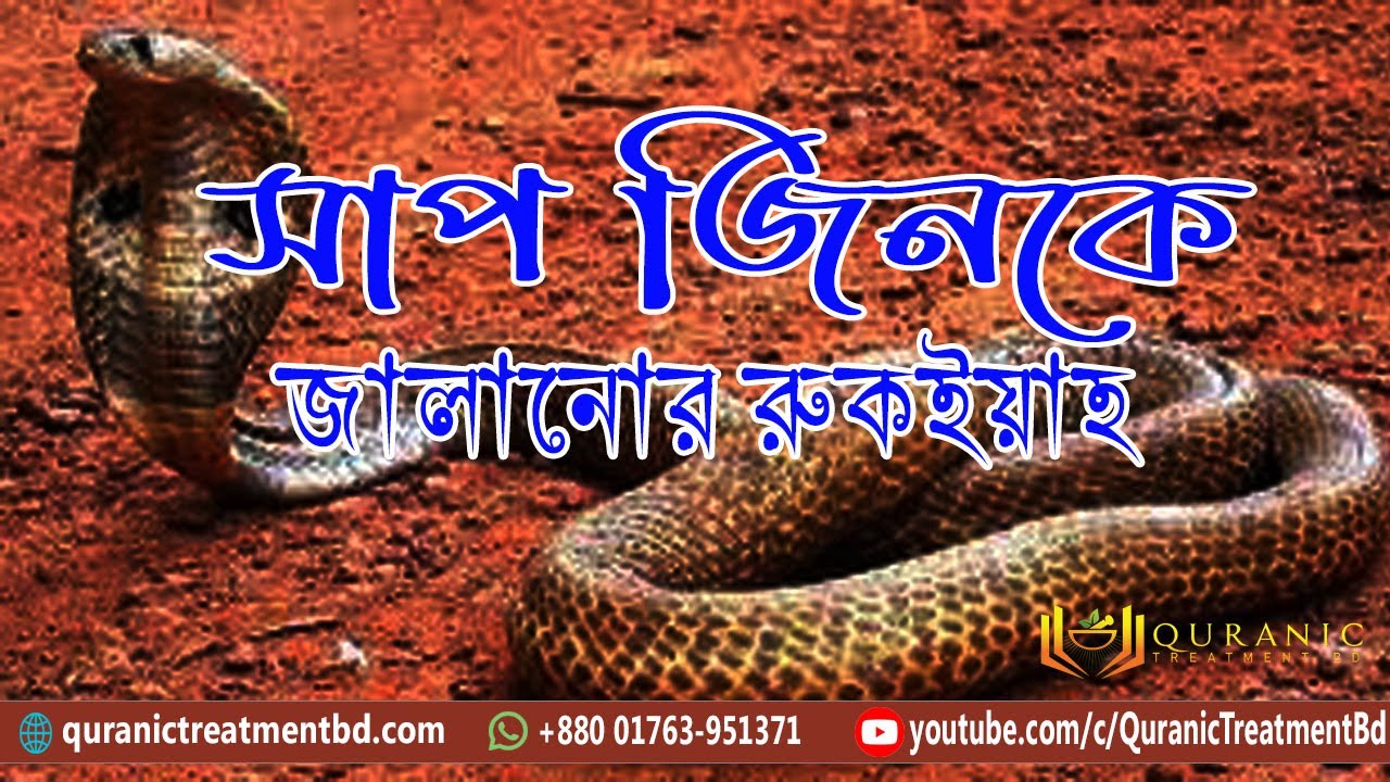 সাপ জিনকে জ্বালানোর রুকইয়াহ- (Ruqyah Burn Snake Jinn) - YouTube