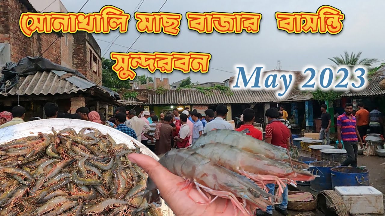 সোনাখালী মাছের বাজার বাসন্তী || Sundarban Fish markt || Basanti ...