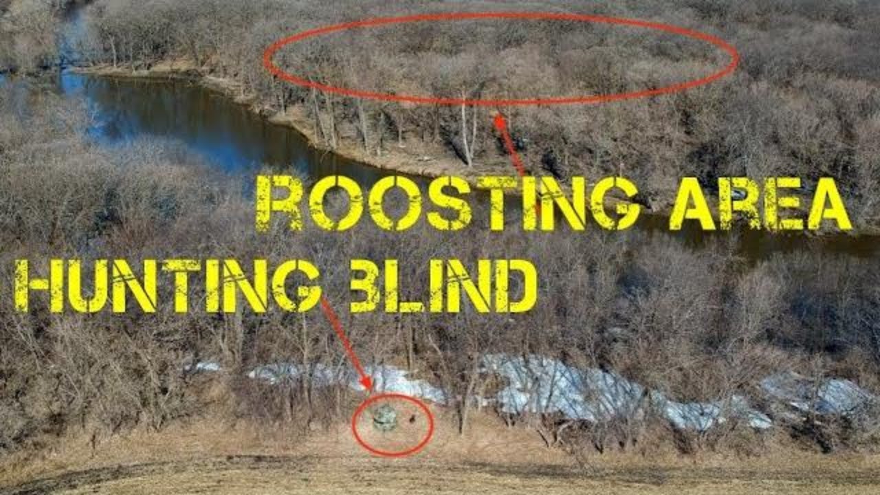 calling turkeys across a river Minnesota spring turkey hunt 2020 - YouTube
