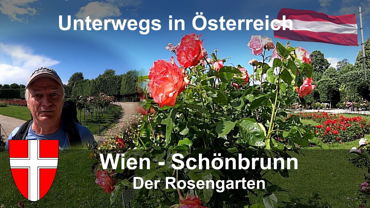 Wien: Schönbrunn - Der Rosengarten - YouTube