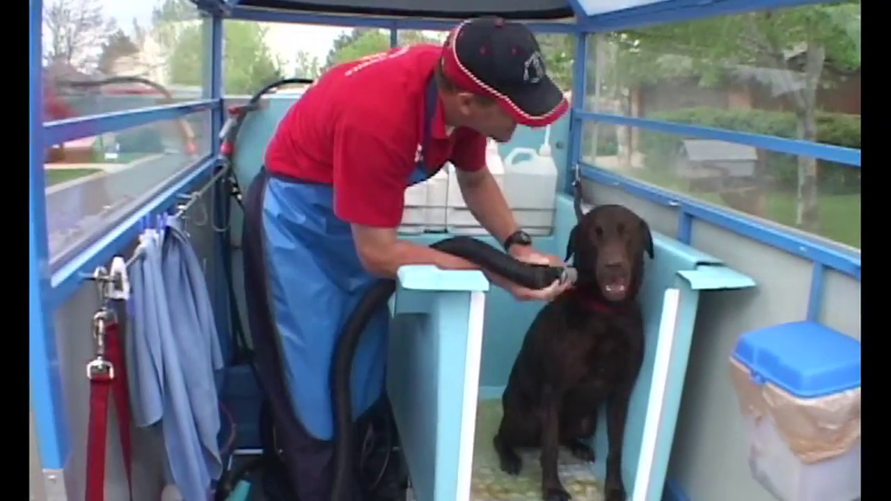 Aussie Pooch Mobile Dog Wash Classic Service - YouTube