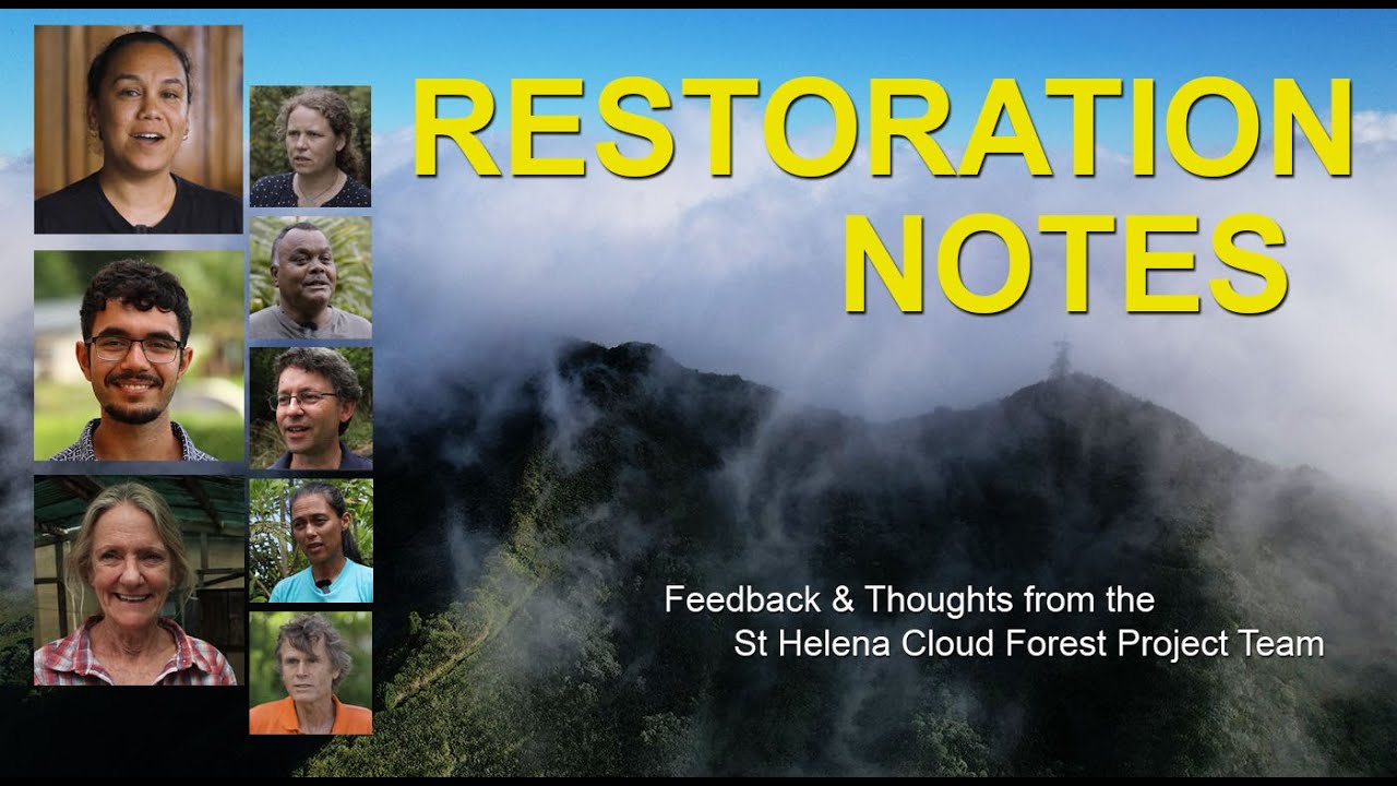 Restoration Notes - Feedback & Thoughts from the St Helena Cloud Forest ...