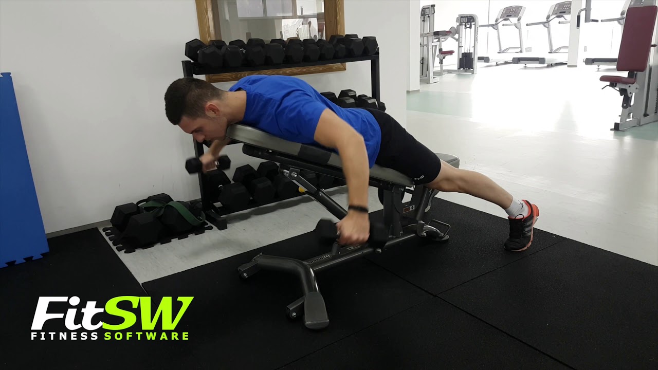 Reverse Flyes: Shoulder Exercise Demo How-to - YouTube