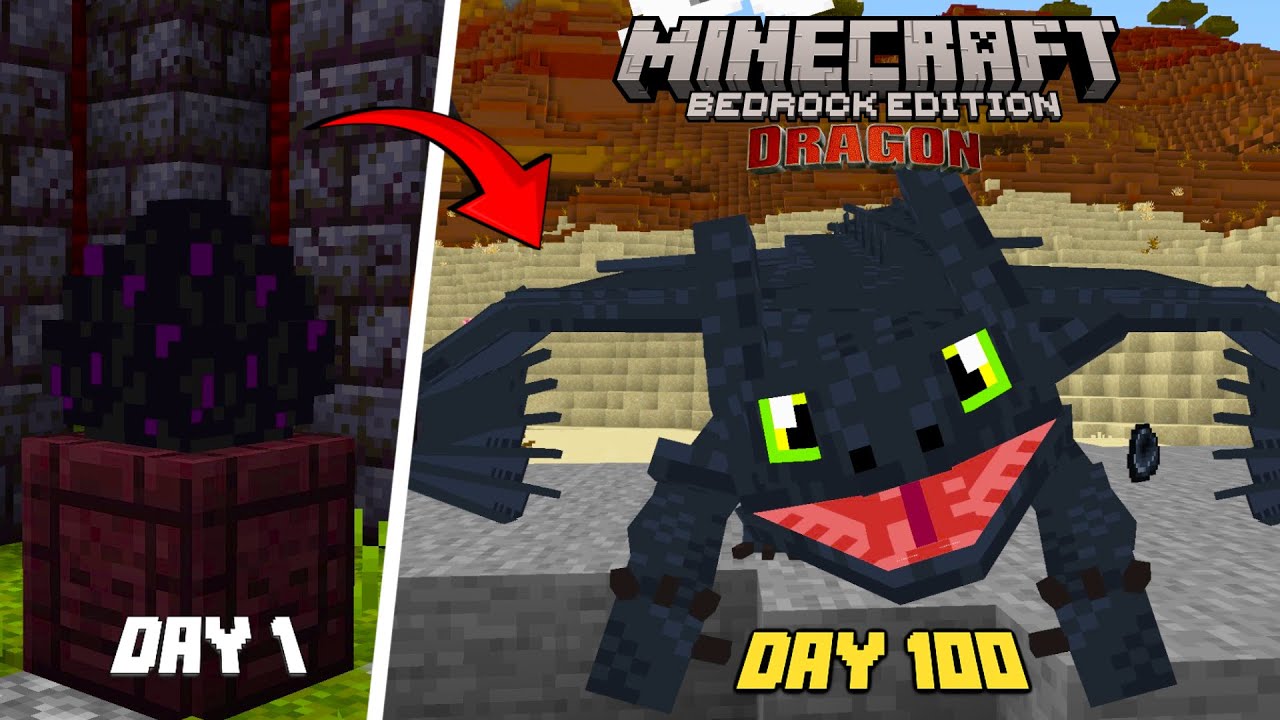 100 Days In How To Train Your Dragon Minecraft Bedrock Edition! [FULL ...