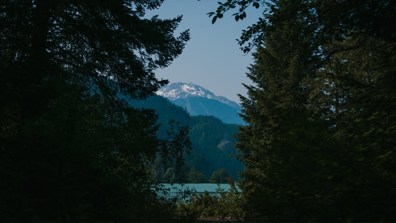 Summer By the Water | Slow Moments in Nature - YouTube