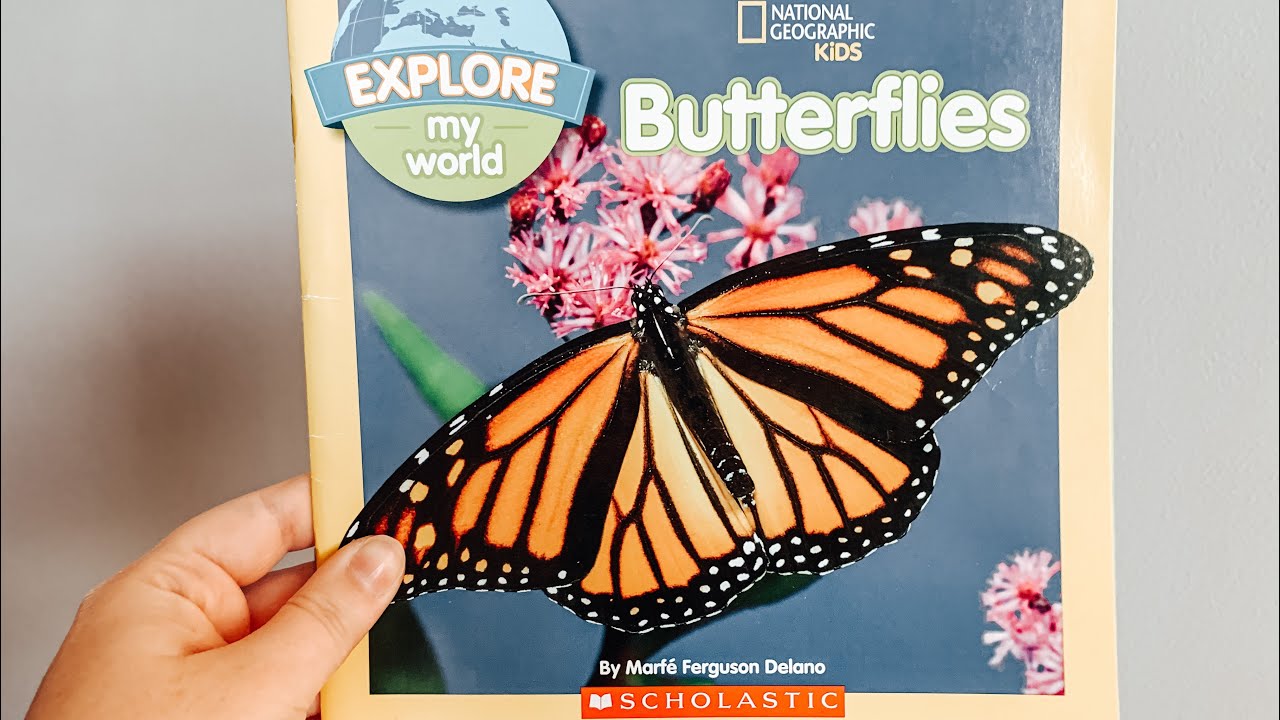 Butterflies: National Geographic read aloud - YouTube