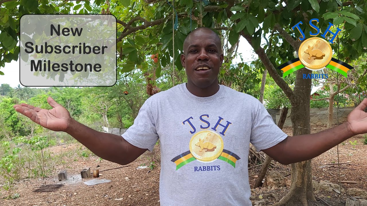 Jamaica Rabbit Farming: New Subscriber Mark!!! - YouTube