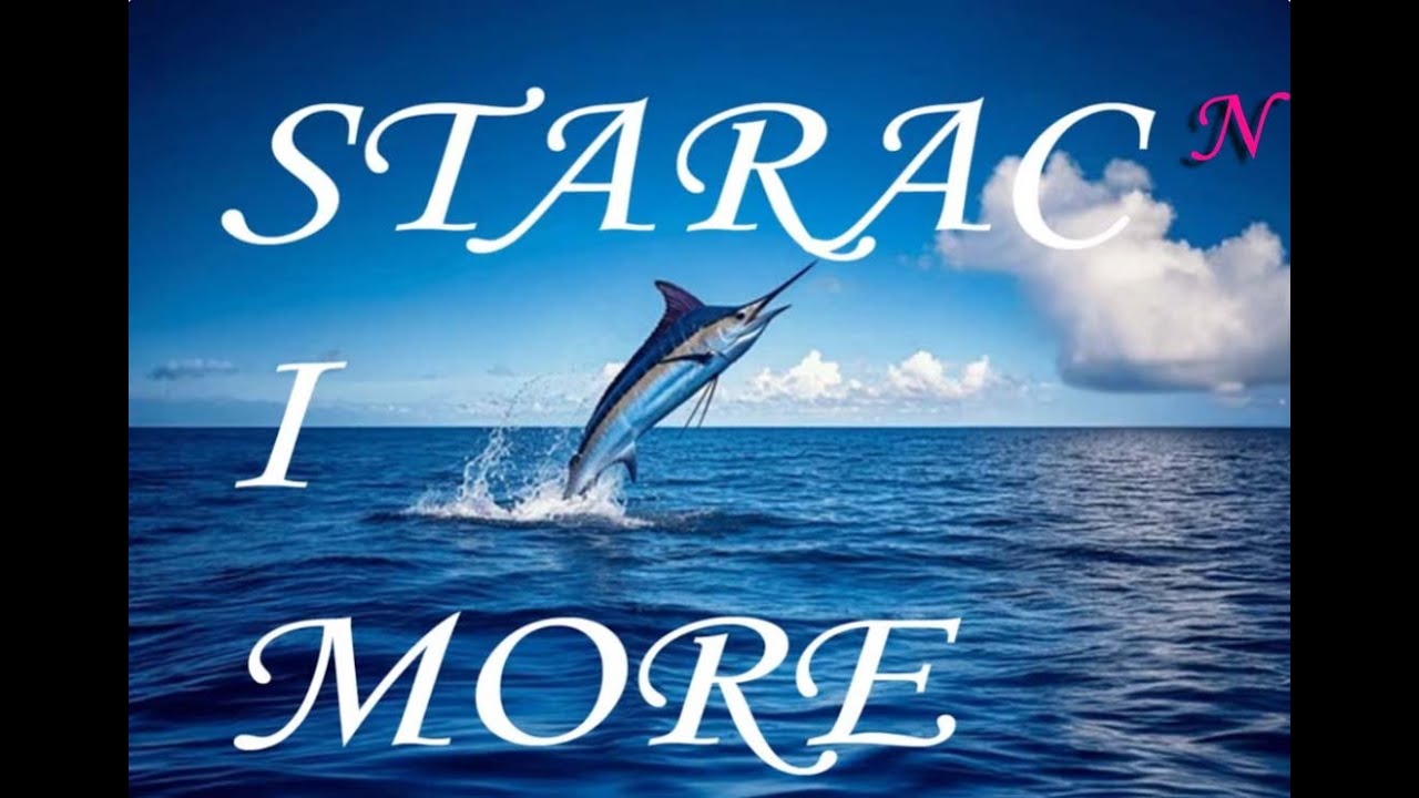 Starac i more - E. HEMINGVEJ - Ernest Hemingway - Audio knjiga - YouTube