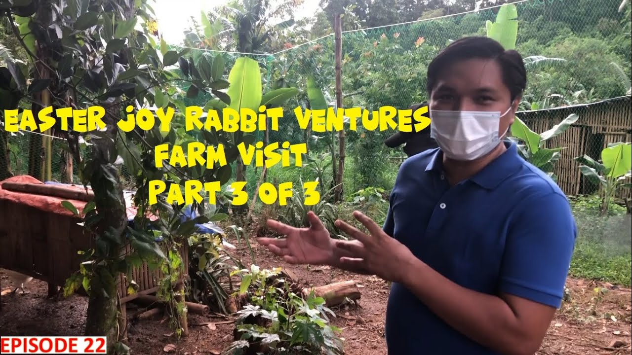 RABBITRY FARMING - EASTER JOY RABBIT VENTURES FARM VISIT PART 3 OF 3 ...
