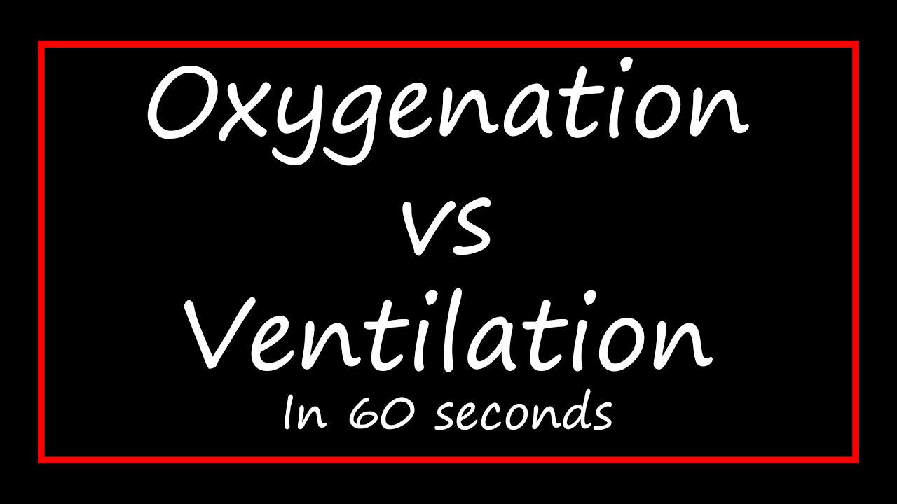 Difference Between Oxygen And Ventilation Oxygenation Vs Ventilation