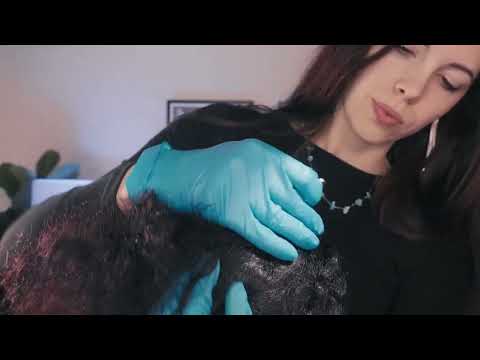 ASMR | Dandruff Removal On Afro & Scratching, Plucking, Hair Playing
