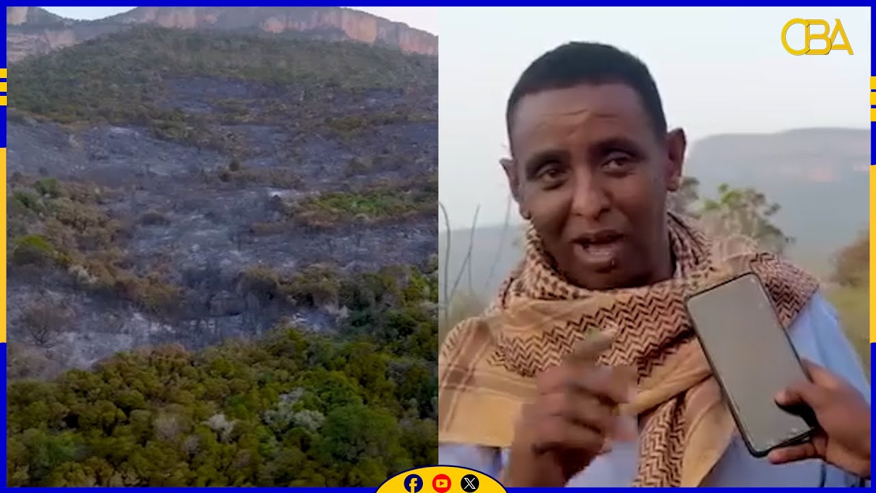 Khasaaraha ka dhashay gubashada Buurta Daallo. - YouTube