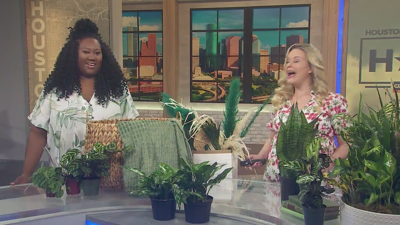 Celebrate National Indoor Plant Week with The Plant Project - YouTube