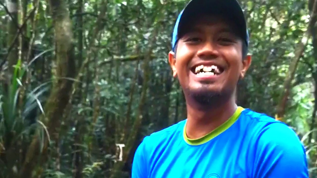 Trans CBR (Gunung Chemendong Gunung Berlumut dan Gunung Gua Rimau ...