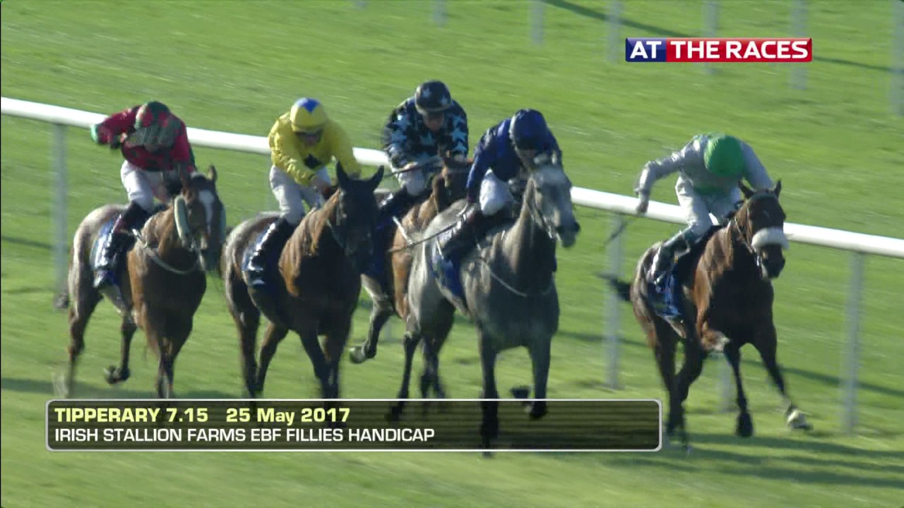 Tipperary racing highlights 25th May 2017 - YouTube