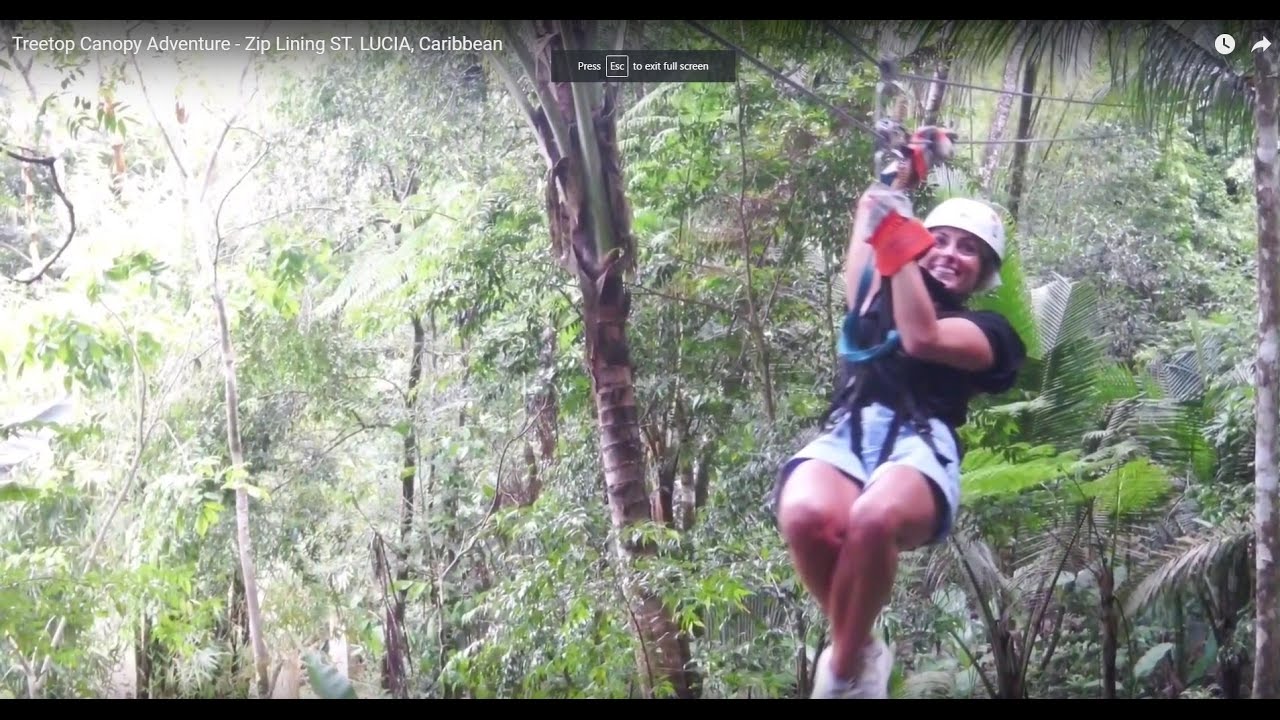 ST. LUCIA, Caribbean Tree Top Canopy Adventure- Zip Lining Excursion ...