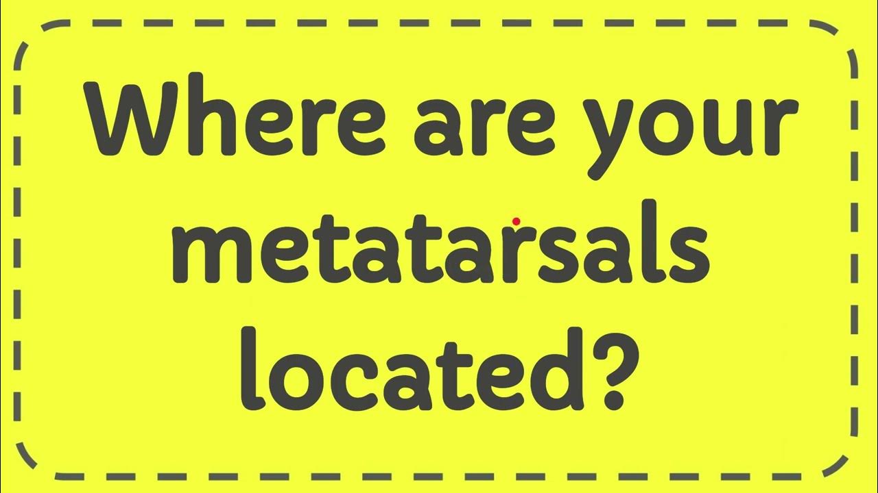 Where are your metatarsals located? - YouTube