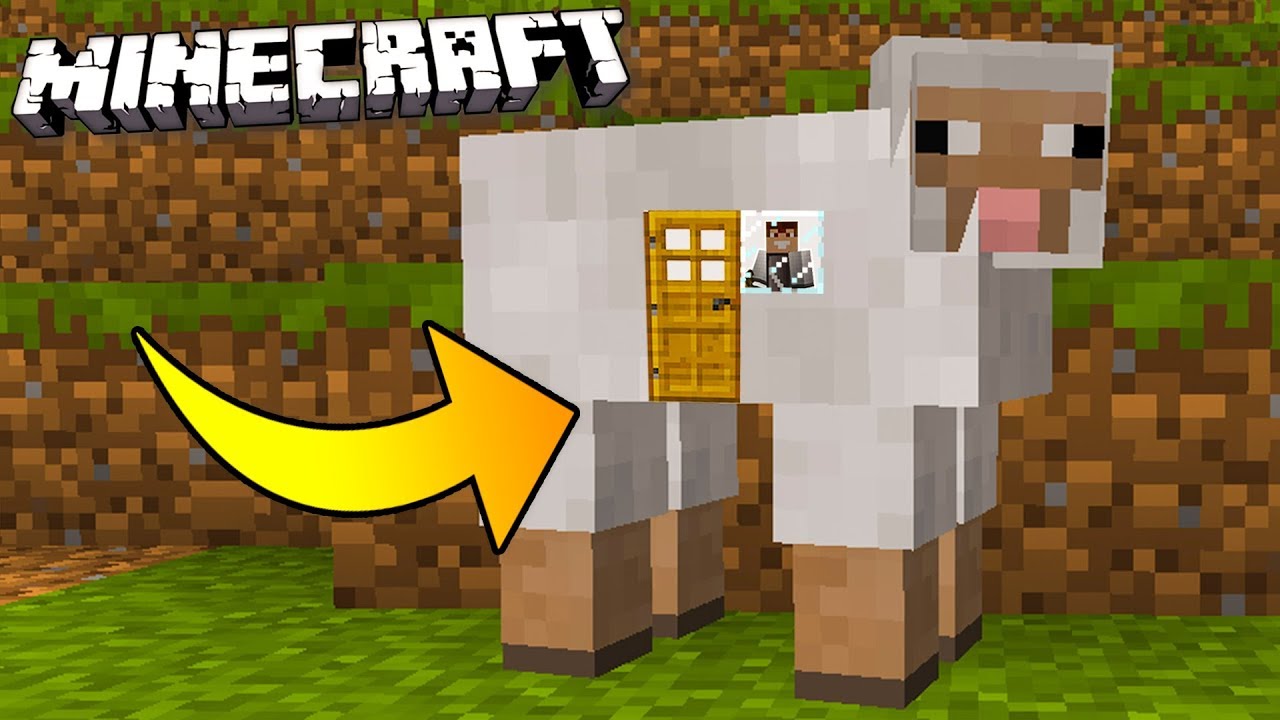 JAK ŻYĆ W OWCY W MINECRAFT! - YouTube