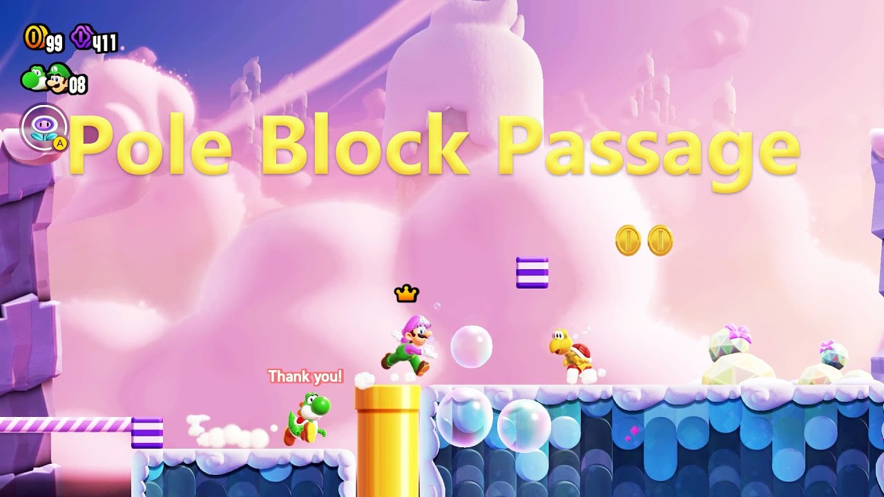 Super Mario Bros. WONDER - Pole Block Passage | 2 players | 2023 - YouTube