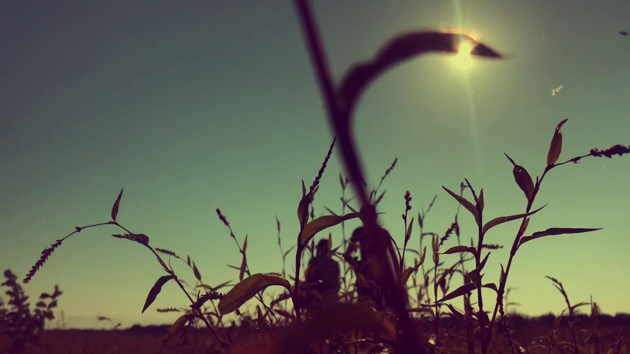 Trip in Abasha (Georgia) - YouTube