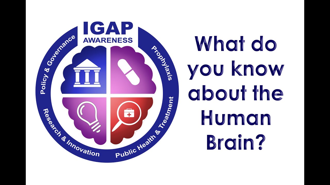 IGAP Awareness The Brain - YouTube