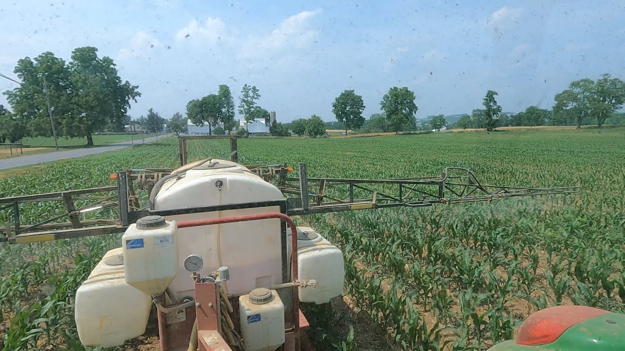 Spraying Corn & Selling Cows - YouTube