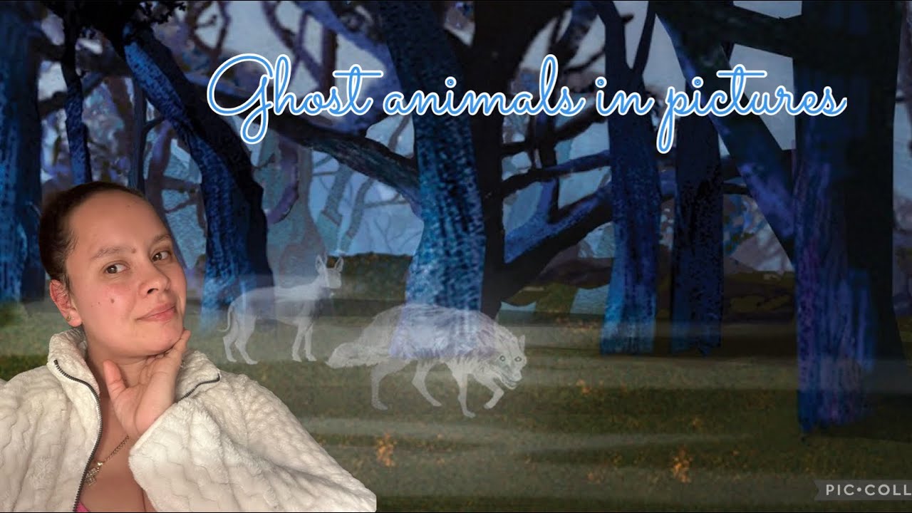 Scary pictures of ghost animals ( watch at your risk ) - YouTube