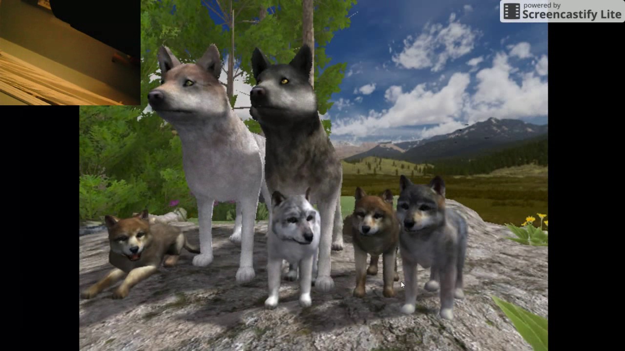 My random WolfQuest game! - YouTube