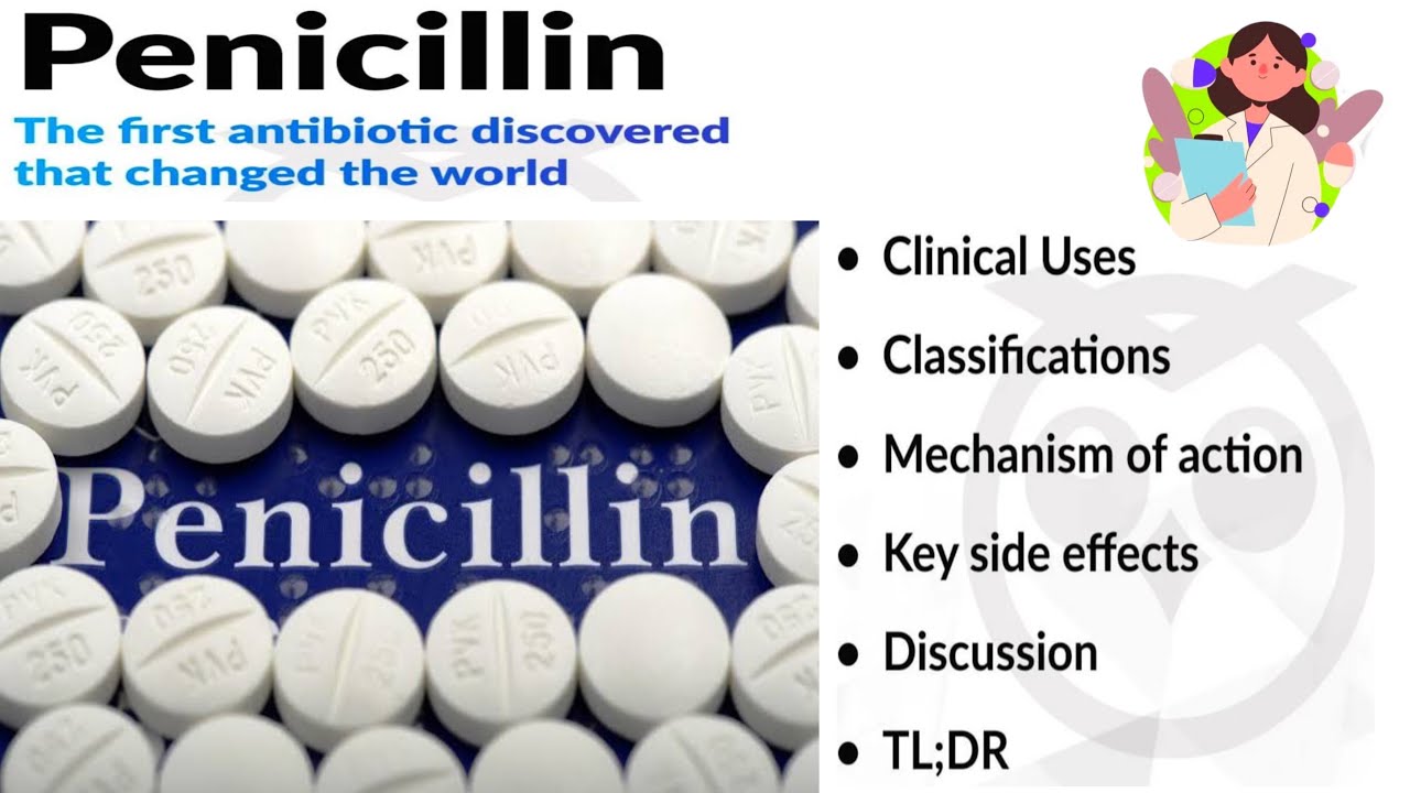 Lecture about Penicillins | Antibiotics | Information about therapeutic ...