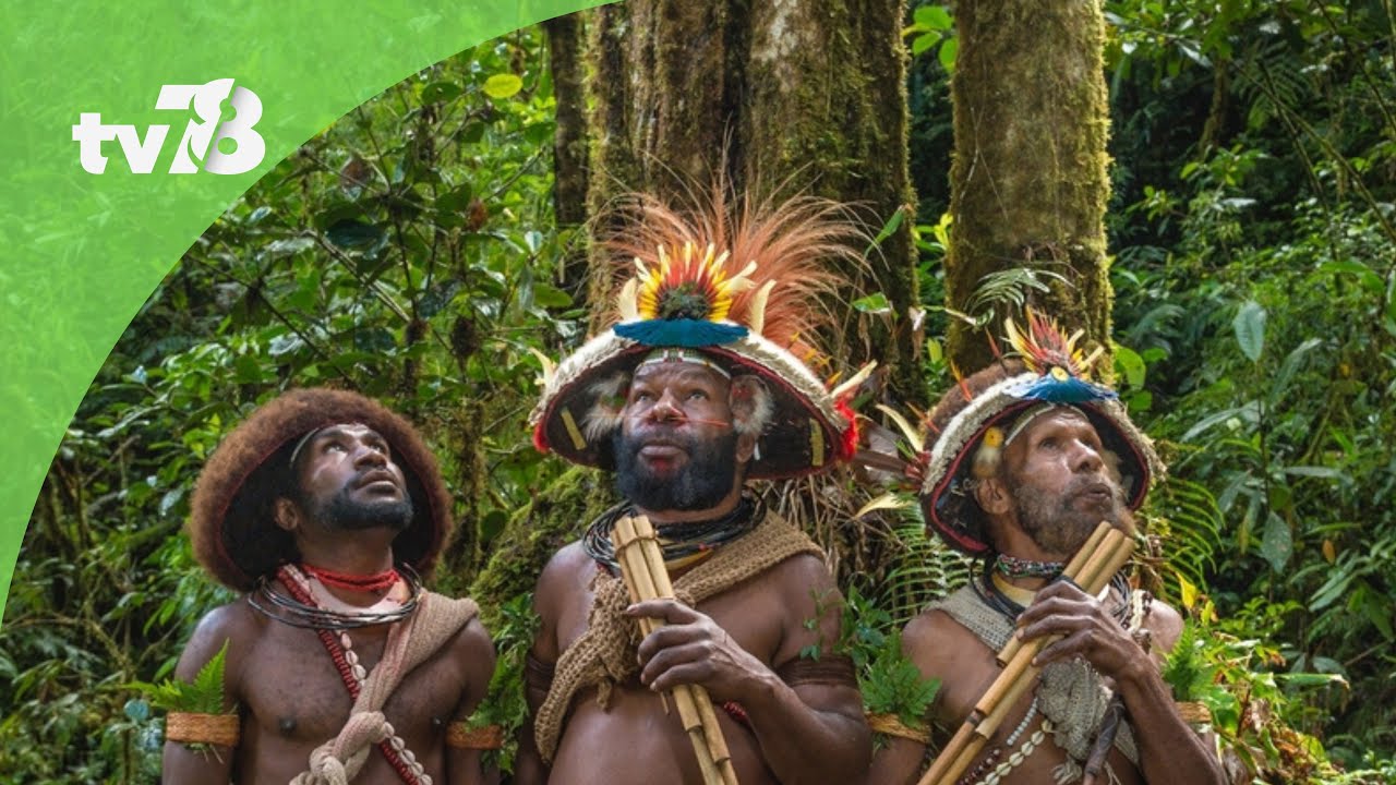 Un chef papou défend sa forêt devant des lycéens de Guyancourt - YouTube