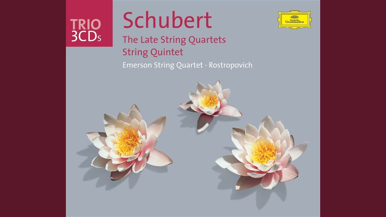 Schubert: String Quintet in C Major, D. 956: IV. Finale. Allegretto ...