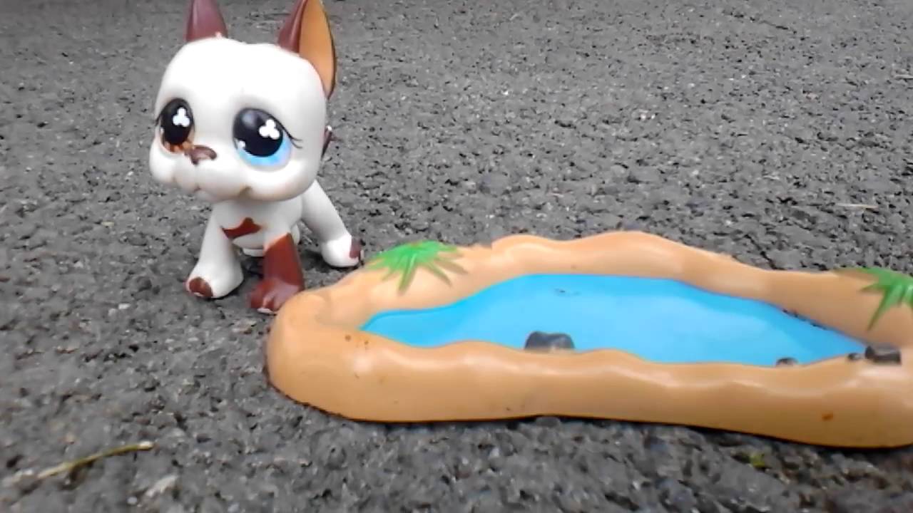 Lps: Wolves and Cougars ~part 1~ : A pup is born: - YouTube