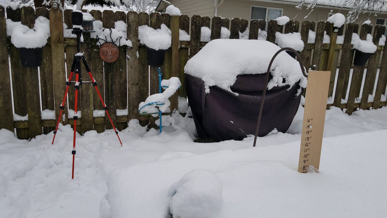 Snowmageddon 2020 - 2 days after 9" of snow in Everett, WA North of ...