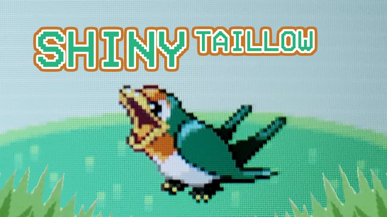 577 - LIVE! Shiny Taillow after 19,182 REs in Sapphire [Phase 1 for ...