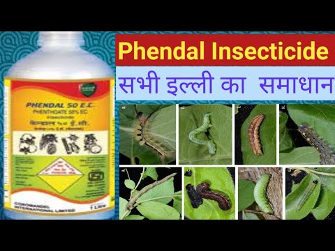 phendal insecticide। coromandal phendal। phenthoate 50। #insecticide ...
