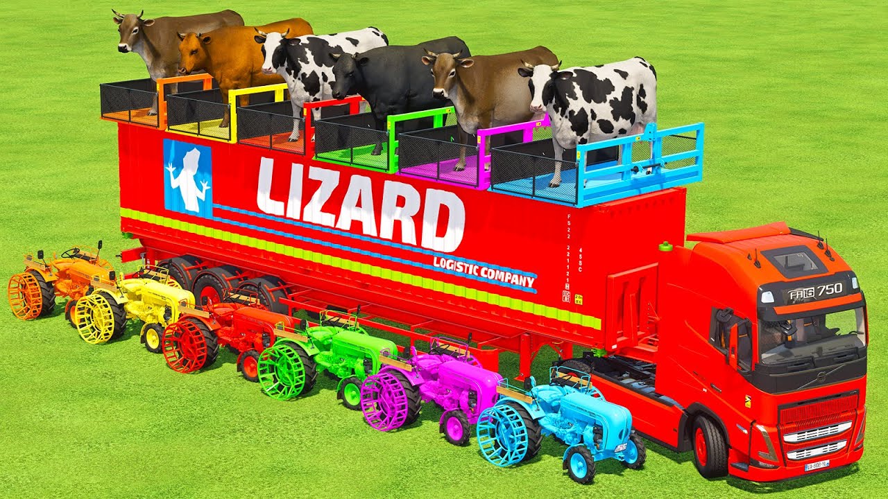 TRANSPORTING COWS WITH PORSCHE MINI TRACTORS & VOLVO TRUCK - Farming ...