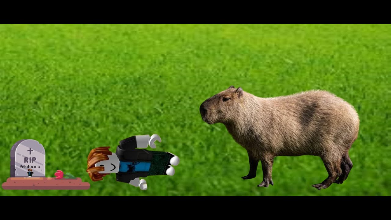 Saitama One Shot Combo Easy (tsb) - YouTube