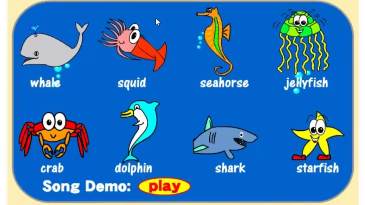 Learning Sea Animals For Kids With Flash Cards And Song - YouTube
