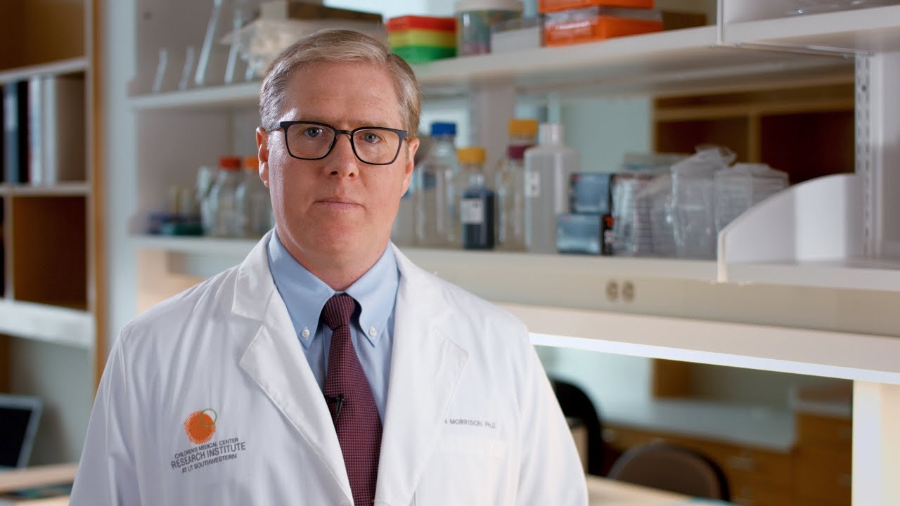 Dr. Sean Morrison - Children’s Research Institute - YouTube