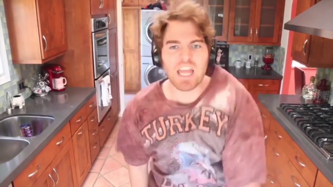 Shane Dawson dancing to Laura Lee's apology - YouTube