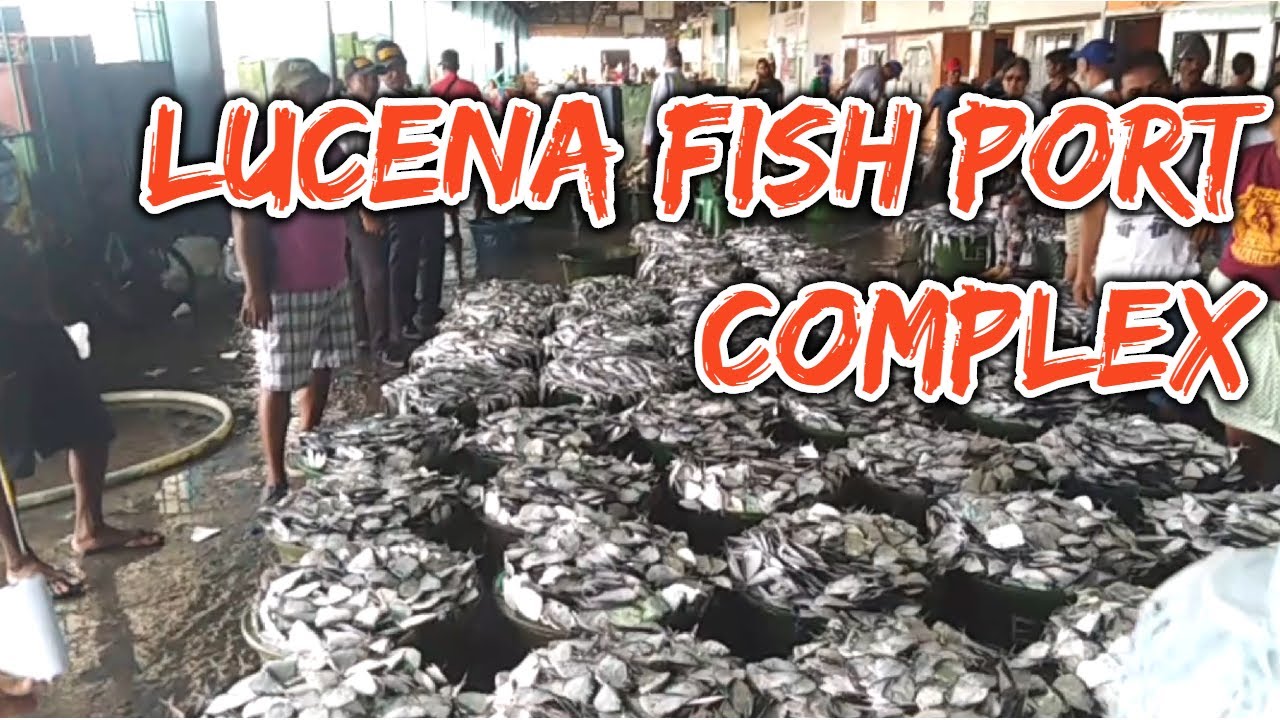 Lucena Fish Port Complex - YouTube