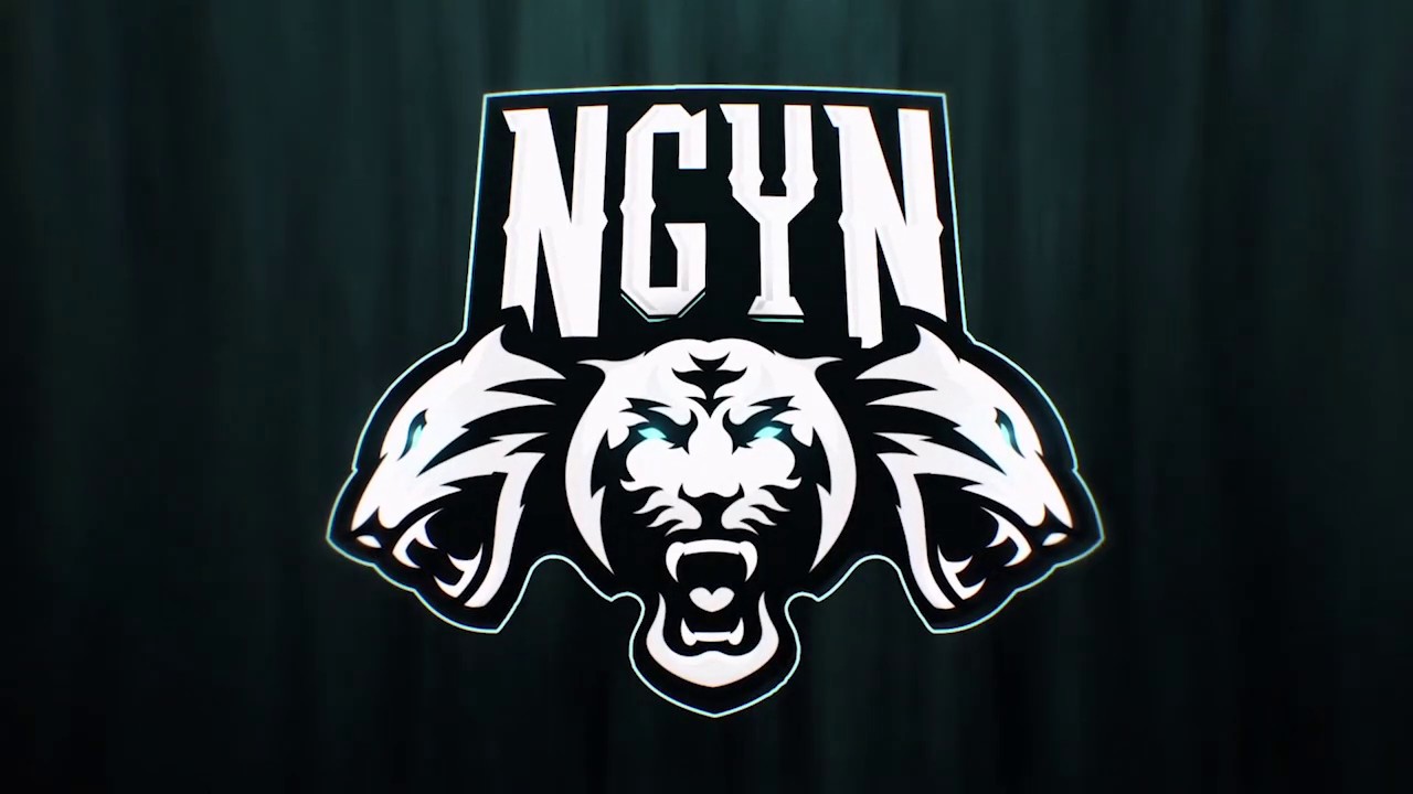 Introducing NGYN Rocky - YouTube