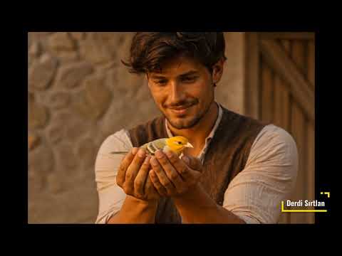 🎻 Derdi Sırtlan – Yoruldum 🍂 (Duygusal Türkü) | Official Video