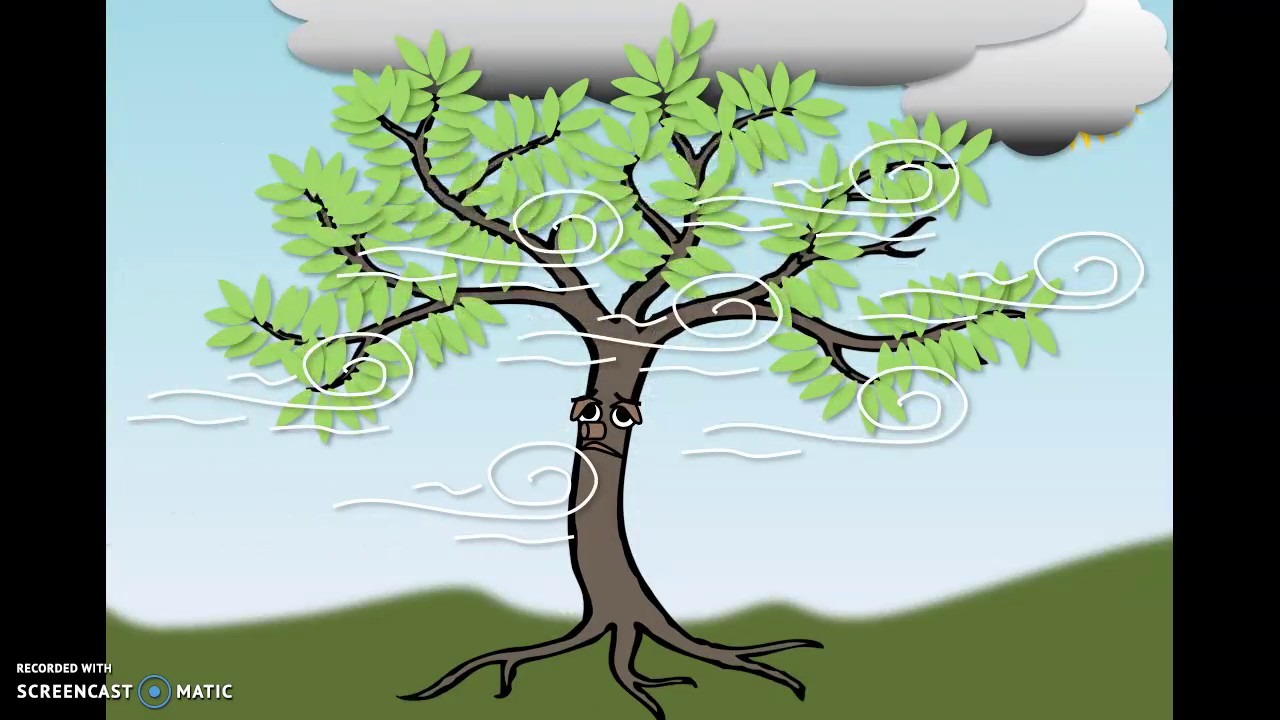 The Sad Tree Story - YouTube