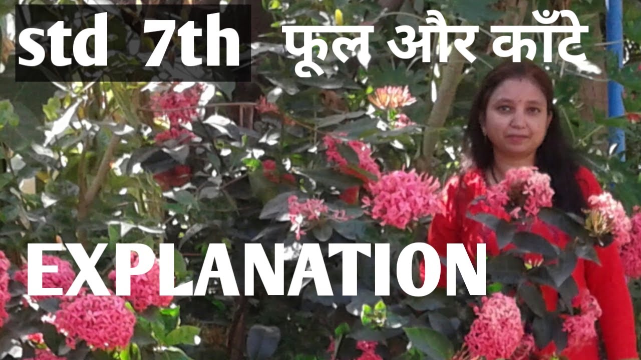 Std 7th Hindi Poem Phool Aur Kaante (Explanation) - English medium ...