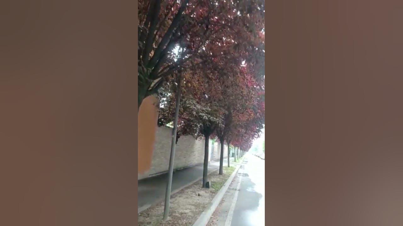 یس۔۔۔ Islamicvideo قرآن کریم Youtube