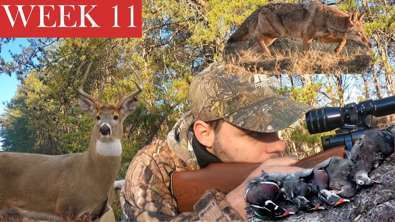South Carolina Deer and Duck Hunting: Big Buck! (Shots Fired) - YouTube