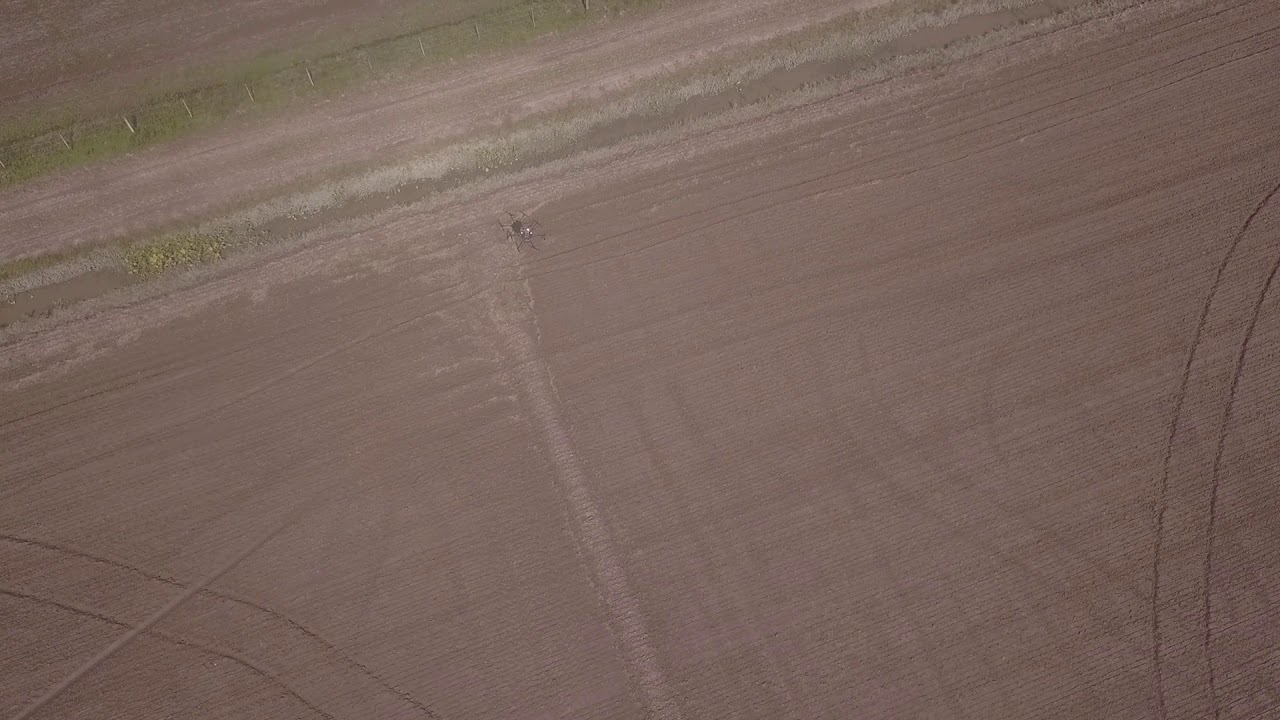 ARPAC Drones - Dessecação na cultura do Arroz - YouTube